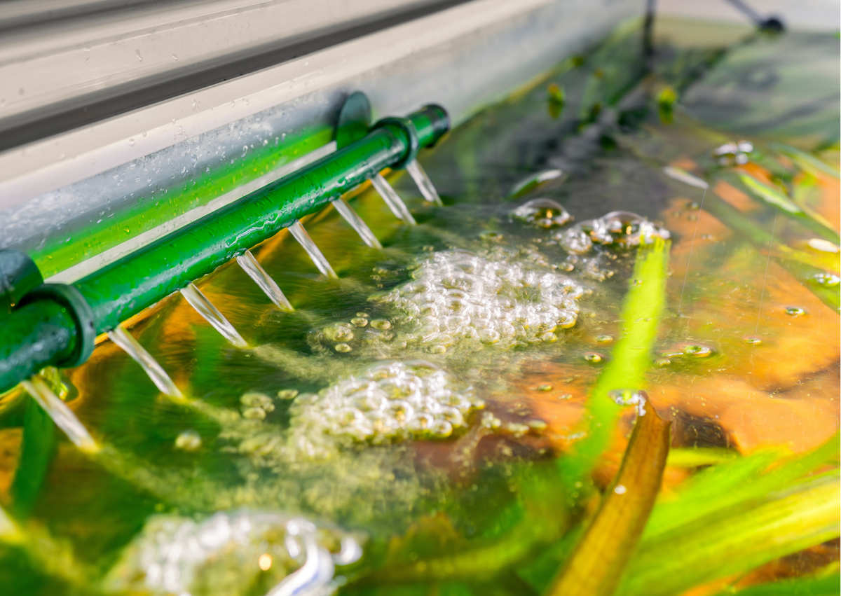 The Best Aquarium External Filters for 2024 | Real Data Analysis
