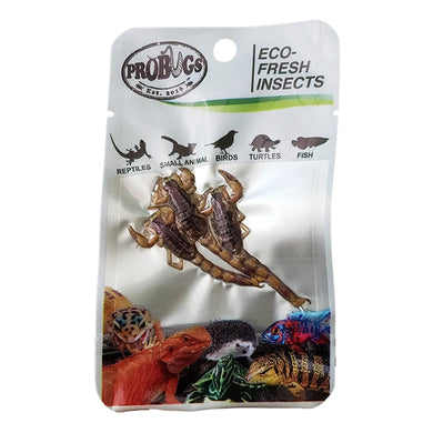 ProBugs Eco Fresh Insects Scorpions 3pcs | Real Aquatics