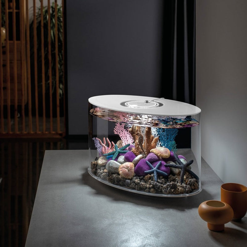 BiOrb Aquariums | 15L, 30, 60 & 105 Halo BiOrb Aquarium Fish Tanks | UK